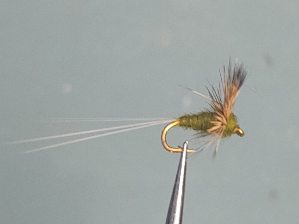 Olive Comparadun– Irish Fly Craft