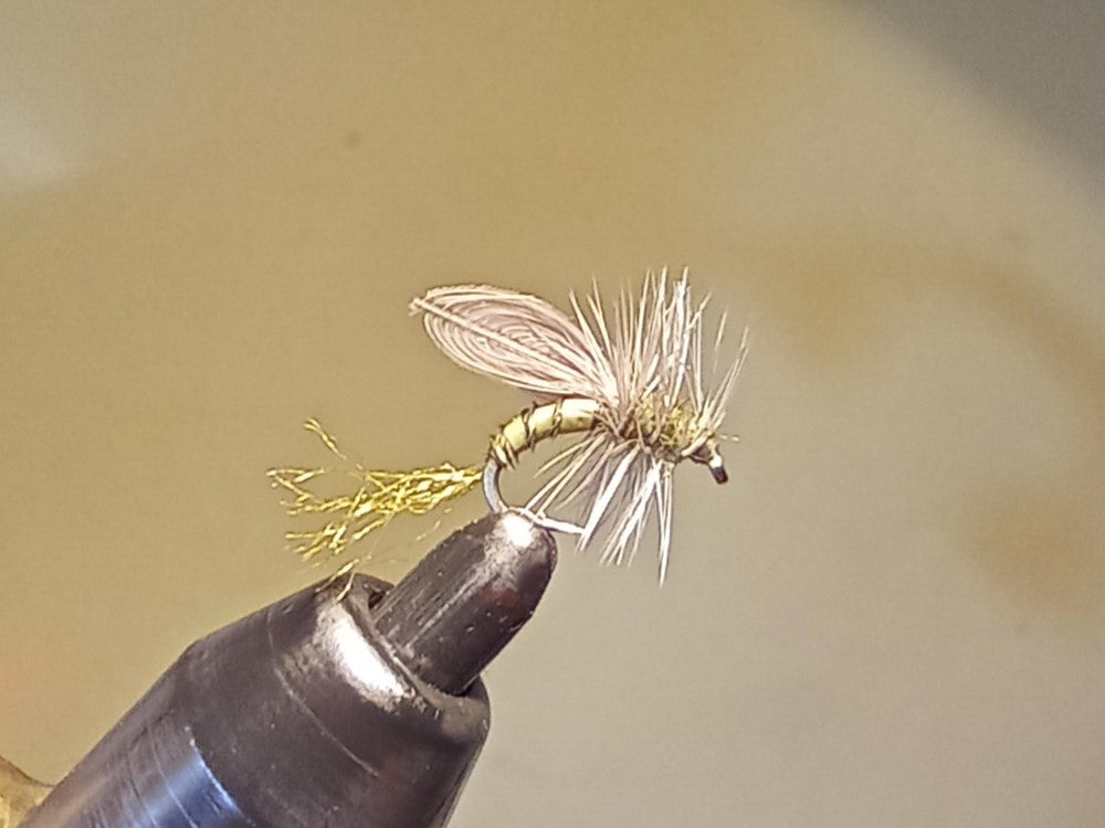 BLue winged olive emerger– Irish Fly Craft
