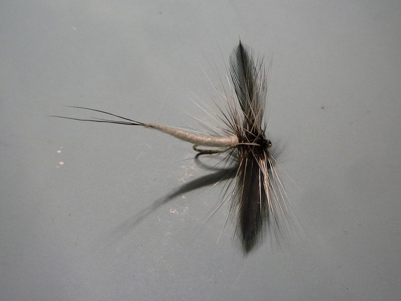 Detached Body Spent Gnat– Irish Fly Craft